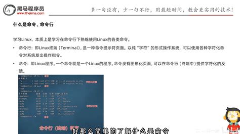 Linux基础命令 Bublly 博客园