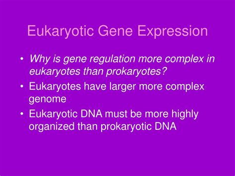 Ppt Eukaryotic Gene Expression Powerpoint Presentation Free Download