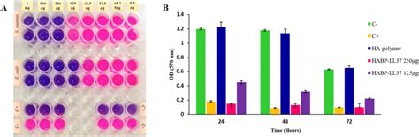 A Minimum Inhibitory Concentration Mic Determination Assay By