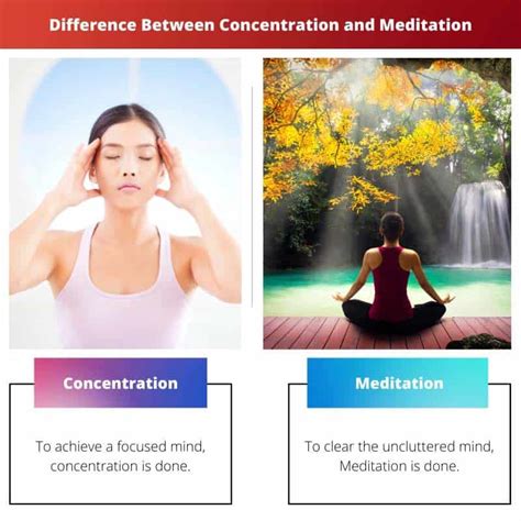 Concentration Vs Meditation Difference And Comparison