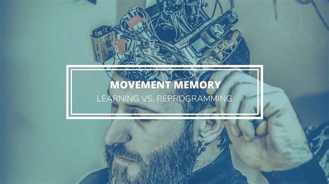Movement Memory And Learning Vs Reprogramming Precision Movement Artofit