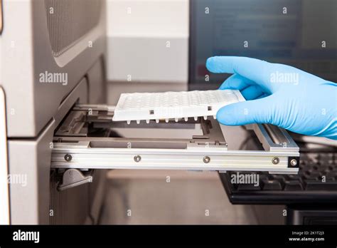 Scientist Loading Samples To A Rt Pcr Thermal Cycler At The Laboratory