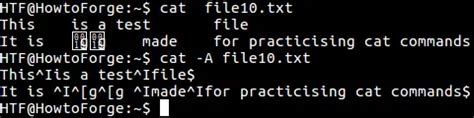 Linux Cat Command Examples For Beginners