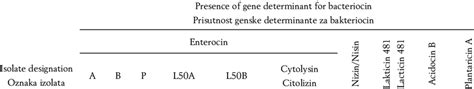 Presence Of Different Bacteriocin Gene Determinants In Individual