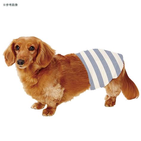 Petio アウトレット品 ペティオ 犬用オムツ フレス たっぷり吸収するエチケットパンツ 男の子 S 16枚 訳あり チャーム