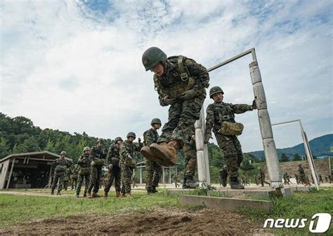 [뉴스1 Pick] 푸른 창공 수놓은 육사 생도들