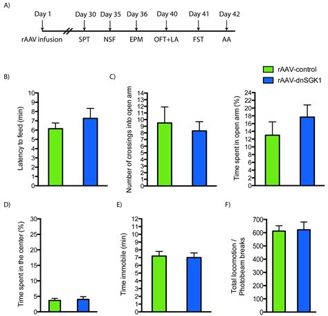 Decreased Sgk1 Expression And Function Contributes To Behavioral