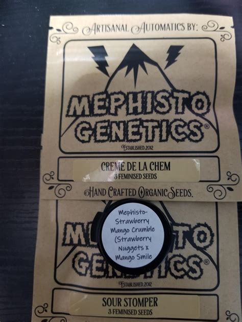 I Finally Get To Be A Part Of Mephheads Rmephheads