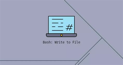 Bash写入文件