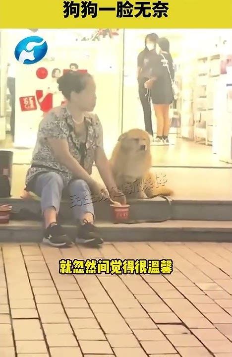 奶奶在街頭餵狗狗吃飯，狗狗一臉無奈， 網友：有一種餓叫奶奶覺得你餓！ Youtube