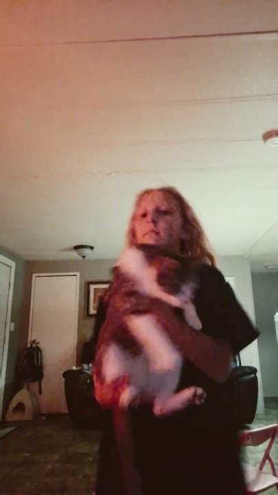 Cat Problem Youtube