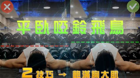 Build Perfect Chest With Flat Dumbbell Flies 平臥啞鈴飛鳥 啞鈴夾胸 1技巧打造飽滿胸大肌提升