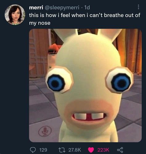 Offensive Memes That If Ylyl V1 Artofit