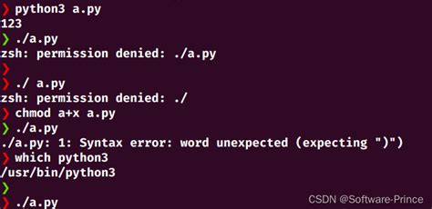 python的特殊解释 usr bin env python csdn博客
