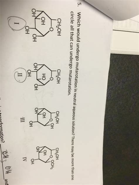 Solved Which Would Undergo Mutarotation In Neutral Aqueous
