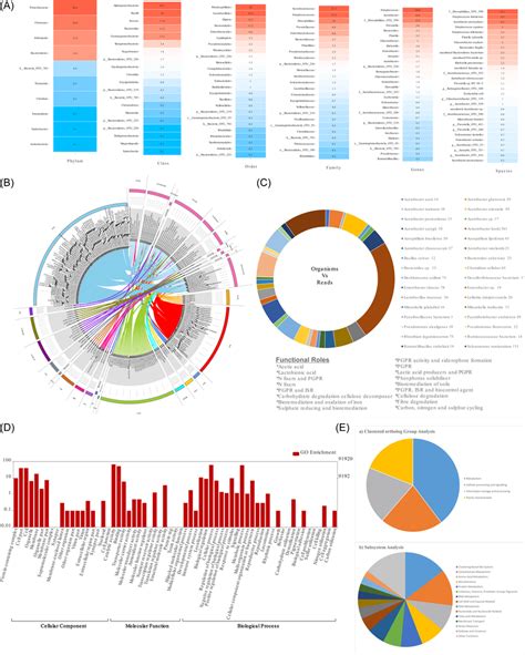 Taxonomic And Functional Metagenomes In The Panchagavya Bioformulation Download Scientific