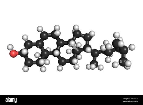 Structure Of Cholesterol Labeled