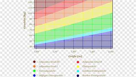 체질량 지수 인체 체중 통계 체 표면적 Bmi 각도 본문 Png Pngegg