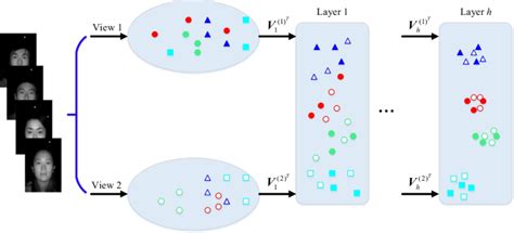 robust multi view clustering via collaborative constraints and multi