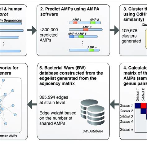 Schematic Workflow Of The Bw Methodology 1 All Bacterial Proteomes
