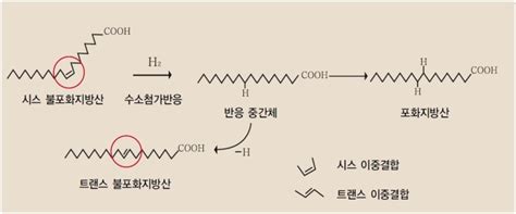 [강석기의 과학카페] 김태희 강동원이 모델로 출연하는 커피믹스 속 카제인나트륨의 진실 네이버 블로그