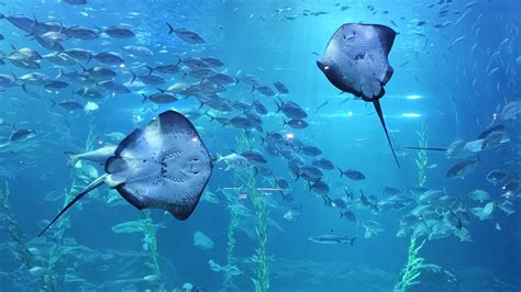 연차 계산 방법 완벽 가이드 2025년 최신판