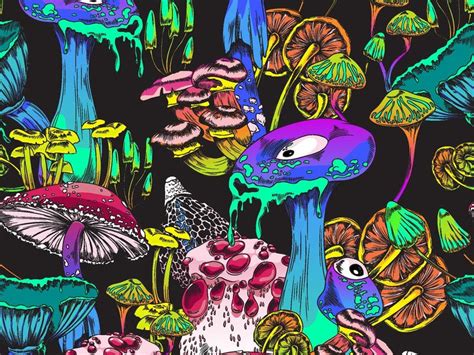 Dmt Spirit Molecule Quotes