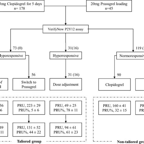 Flow Chart Of The Antiplatelet Agents Tailoring Process The Numbers