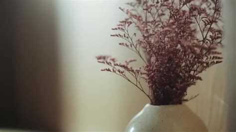 最强ai编程助手：openai 发布 Codex 智能体，专注自动化软件开发