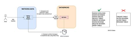 connecting databricks from watsonx data spark engine using unity