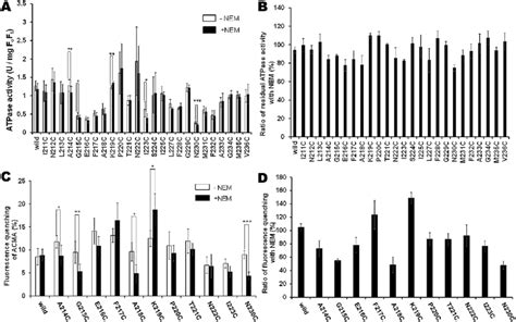 A Atpase Activity For Wild Type Proteins And I211cv236c Mutants