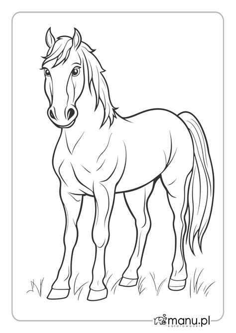 Prosty Koń Kolorowanka Pdf Dla Najmłodszych Dzieci