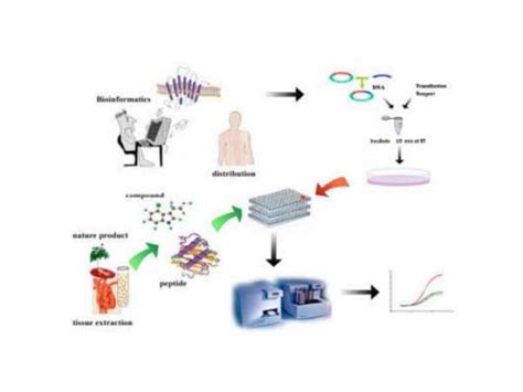Functional Genomics