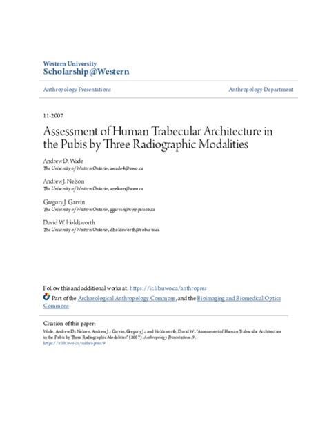 Pdf Assessment Of Human Trabecular Architecture In The Pubis