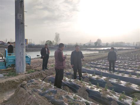 杜集区直机关工委开展“我为群众办实事”走访调研杜集区人民政府