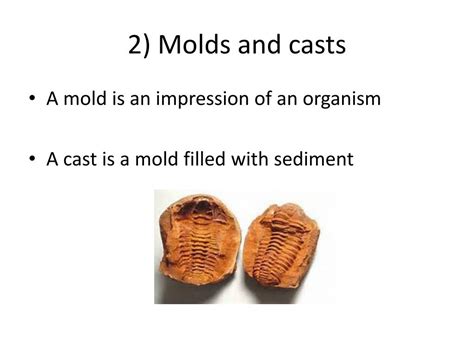 PPT FOSSILS PowerPoint Presentation Free Download ID 2162360