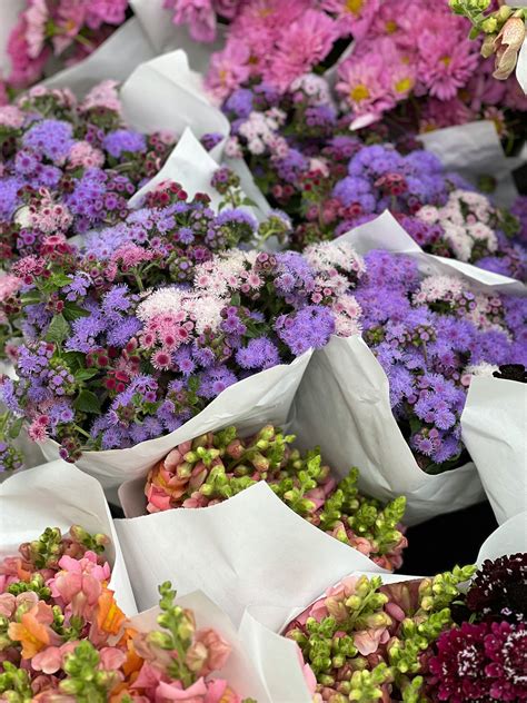 실내 구색을 갖춘 꽃 꽃 장식 꽃꽂이 꽃잎 나뭇잎 녹지 다발 다채로운 데이지 모임 밝은 배열 봄 부케 분홍색 꽃 선명한 선물 수직 쐈어