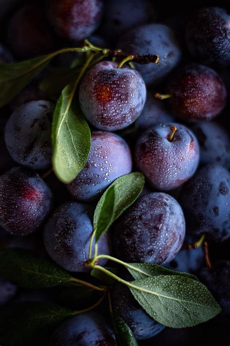Top Tips For Planting Plum Trees • Homeleigh Garden Centres