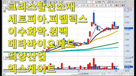 관심종목 크리스탈신소재세토피아피델릭스이수화학윈팩메타바이오메드덕양산업엑스케이트 Youtube