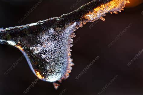 Frozen Drop Of Water Stock Image C057 1295 Science Photo Library