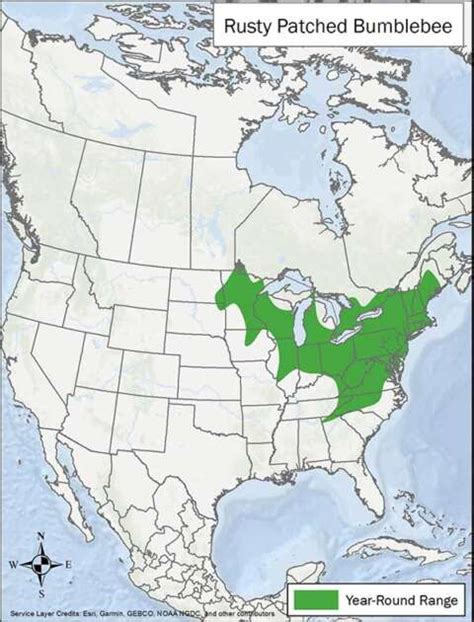 Rusty Patched Bumble Bee LandPKS