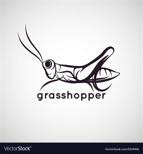 Grasshopper Royalty Free Vector Image Vectorstock