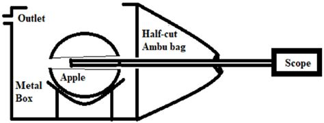Schematic Representation Of The Training Model Download Scientific