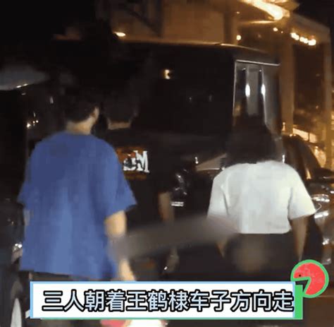 王鹤棣李雪琴与友人聚餐被拍 餐后两人回男方住处