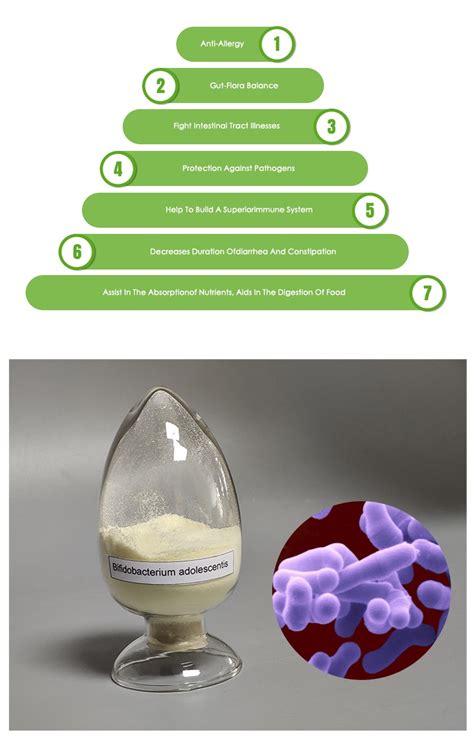 Bifidobacterium Adolescentis Buy Bifidobacterium Adolescentis Product On Hebei Qida Biotech Co