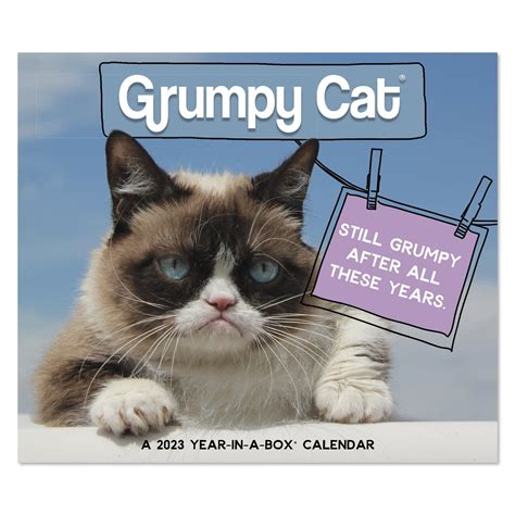 Grumpy Cat Calendar 2024 Dee Karrie