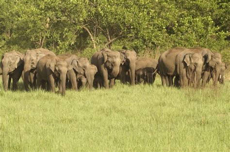 Configuring Postgresql For Optimal Usage Of Available Ram Dba