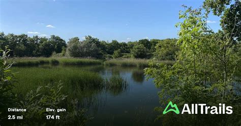 Davy Down And Mardyke Woods Circular Essex England 24 Reviews Map Alltrails