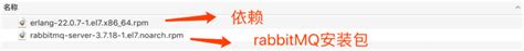 Rabbitmq 黑马rabbitmq教程 《java服务端学习与面试》 极客文档