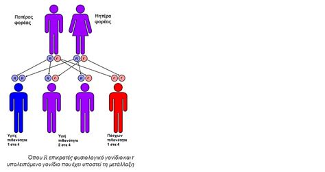ΙΝΟΚΥΣΤΙΚΗ ΝΟΣΟΣ Ή ΚΥΣΤΙΚΗ ΙΝΩΣΗ Γονίδιο Cftr Genemedlab